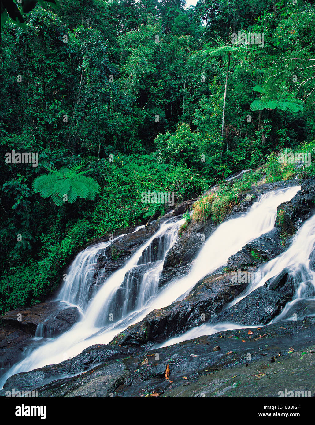 Australia. Queensland. Atherton Tableland. Dinner Falls Stock Photo - Alamy