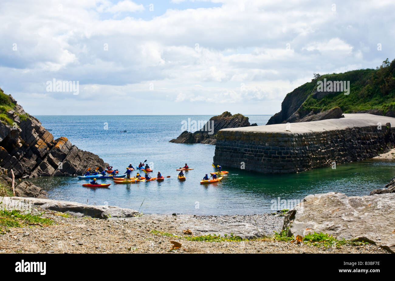 Canoeists in the small harbour of Stackpole Quay, Pembrokeshire Stock ...