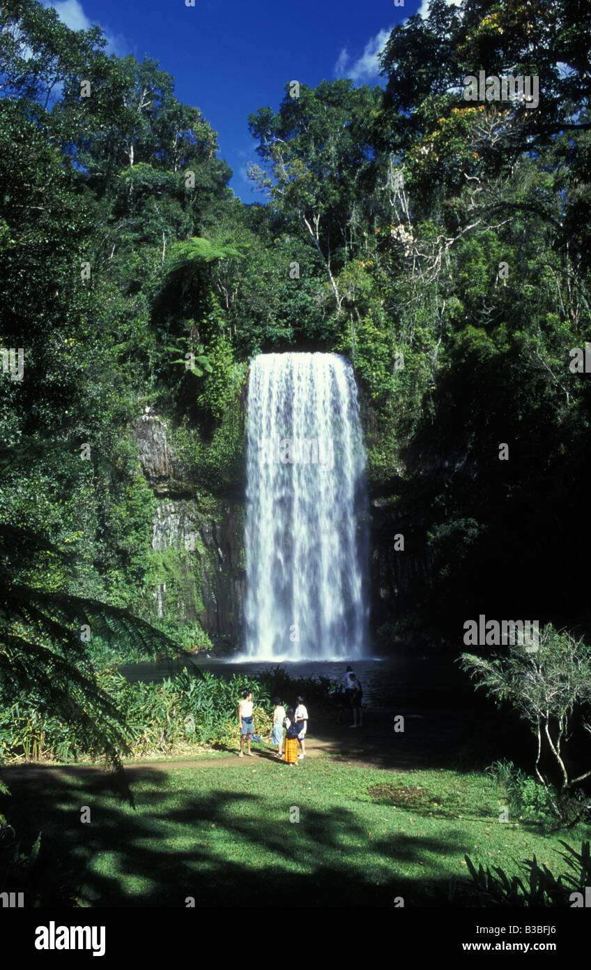 Milaa Milaa falls in Queensland Australia Stock Photo - Alamy