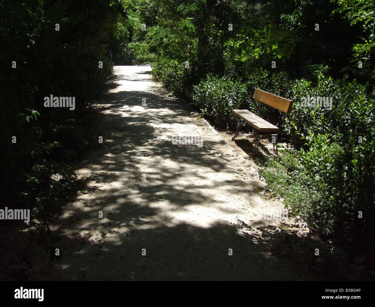 one empty bench in park in athens, greece Stock Photo - Alamy