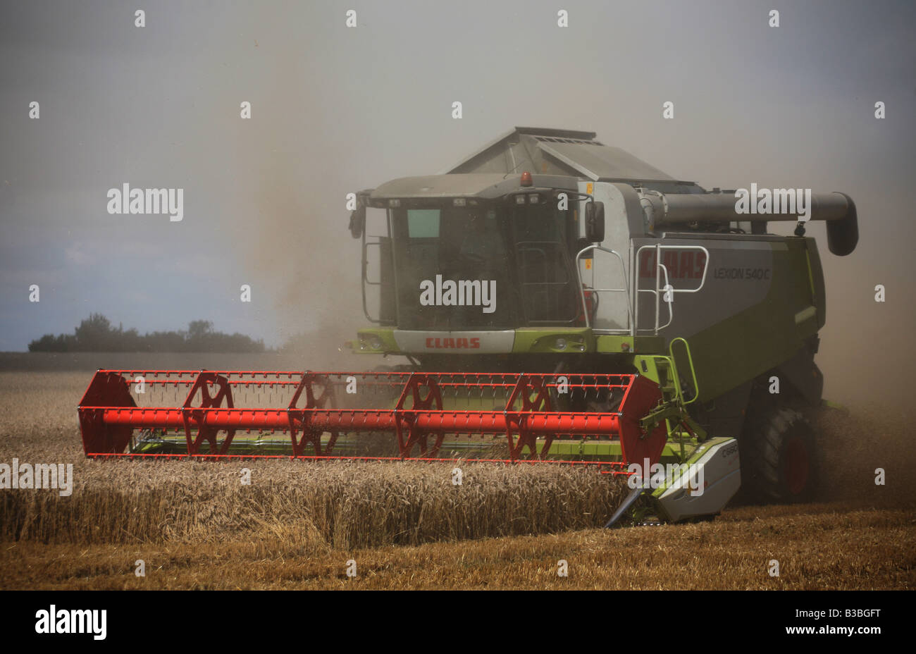 A COMBINE HARVESTER HARVESTS WHEAT FOR BREAD PRODUCTION AT THE VILLAGE ...
