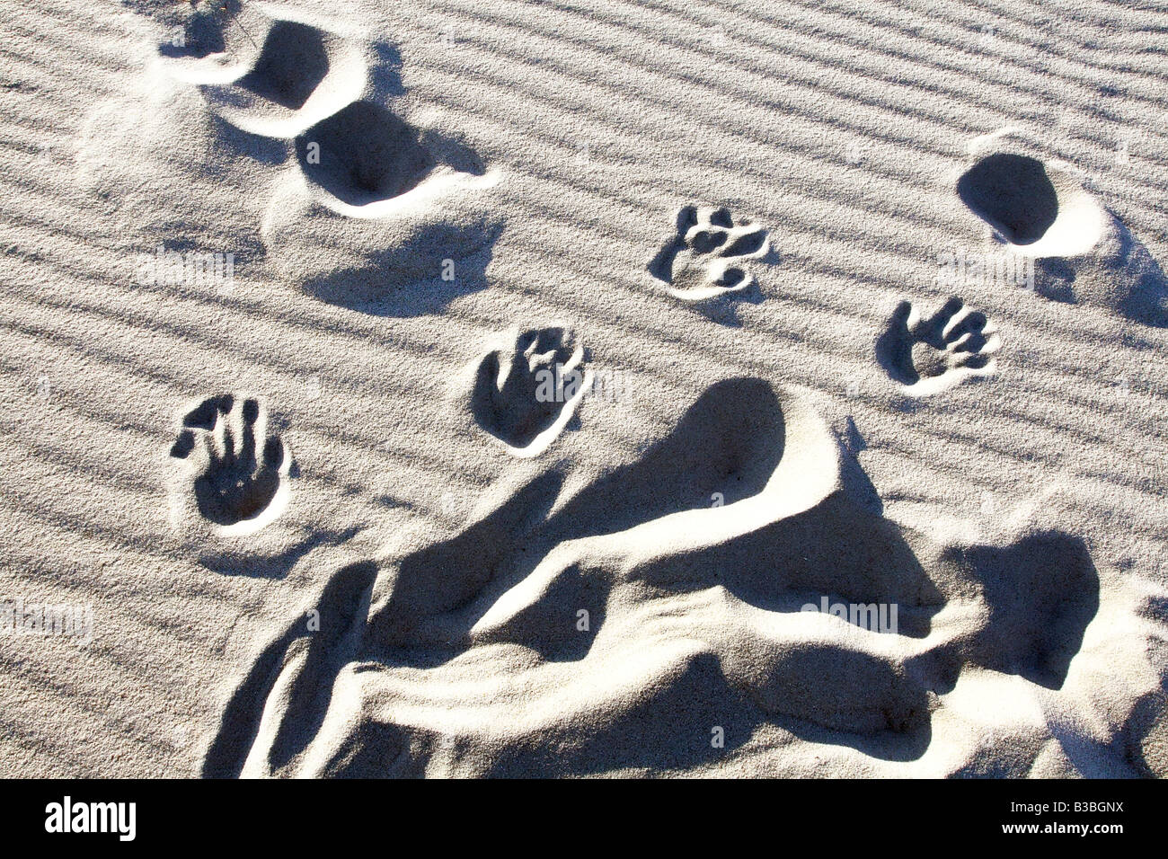 Handprints and impressions in sand Stock Photo - Alamy