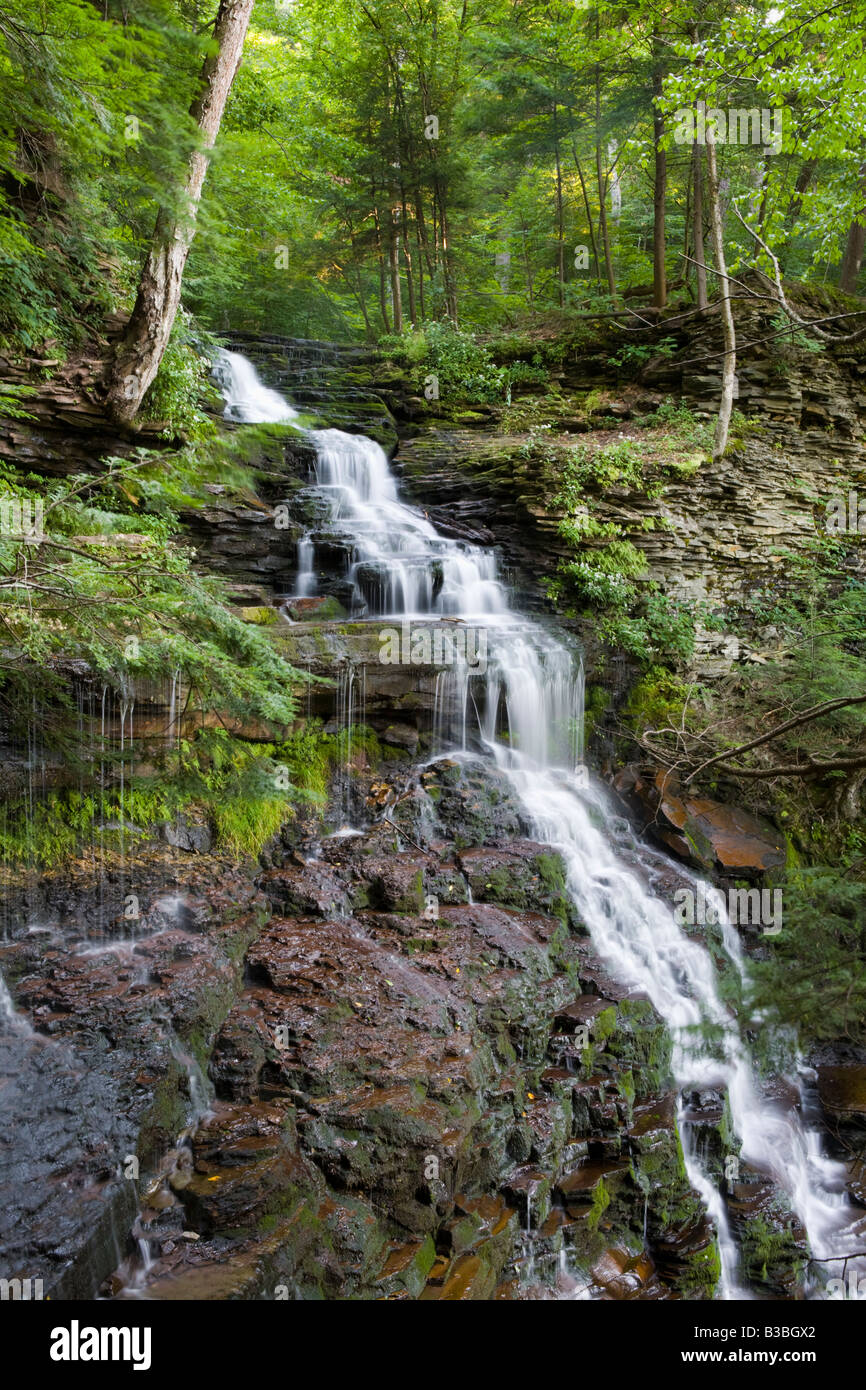 Ganoga Falls tallest waterfall at Ricketts Glen State Park Pennsylvania Stock Photo - Alamy