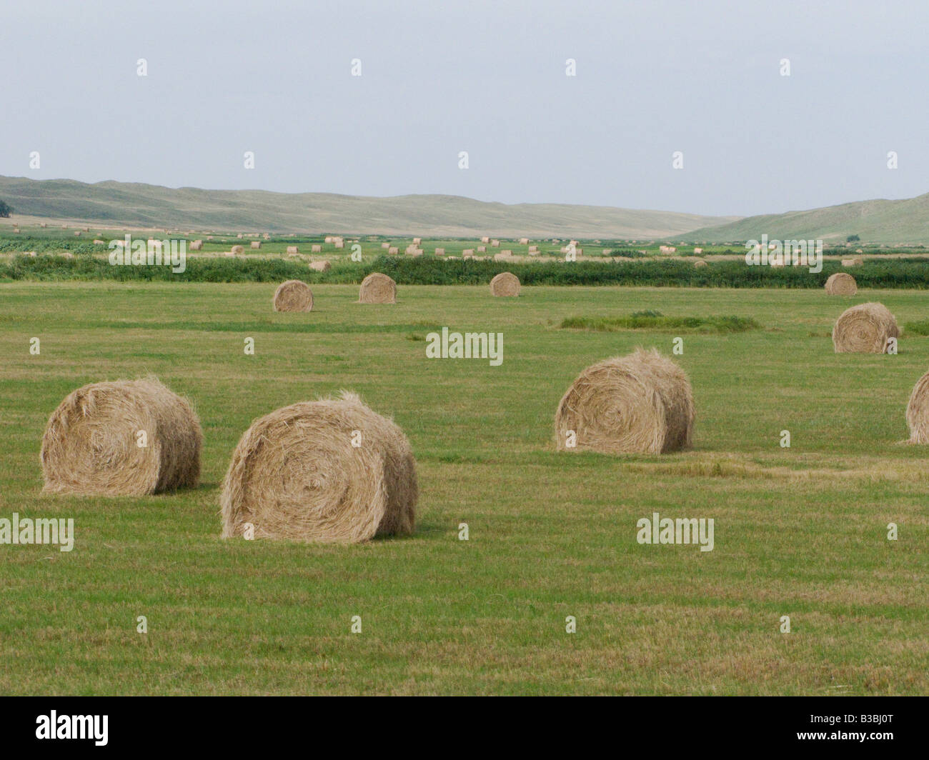 Hay land hi-res stock photography and images - Alamy