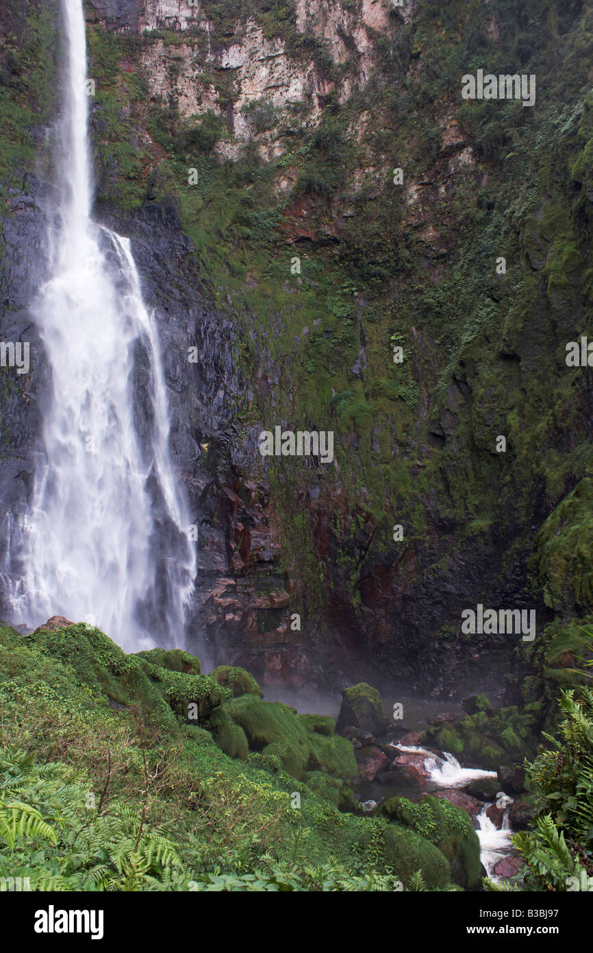 Waterfall in the Rainforest Stock Photo - Alamy