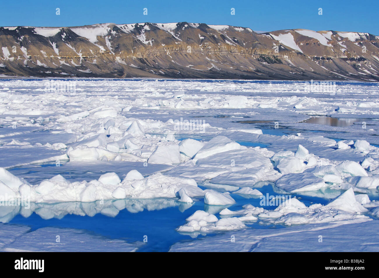 Floating pack ice in the arctic ocean hi-res stock photography and ...