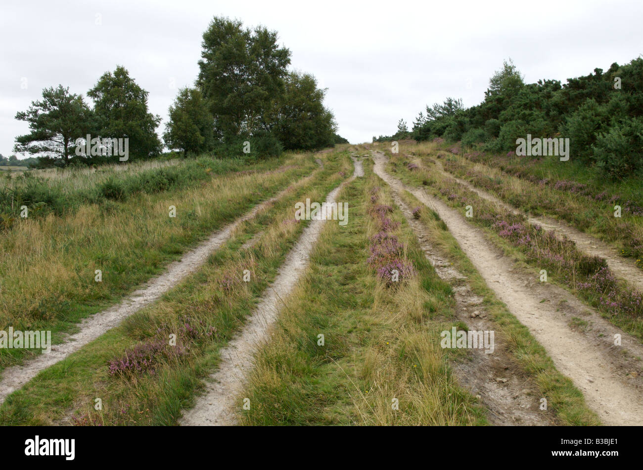 Wealdway hartfield hi-res stock photography and images - Alamy