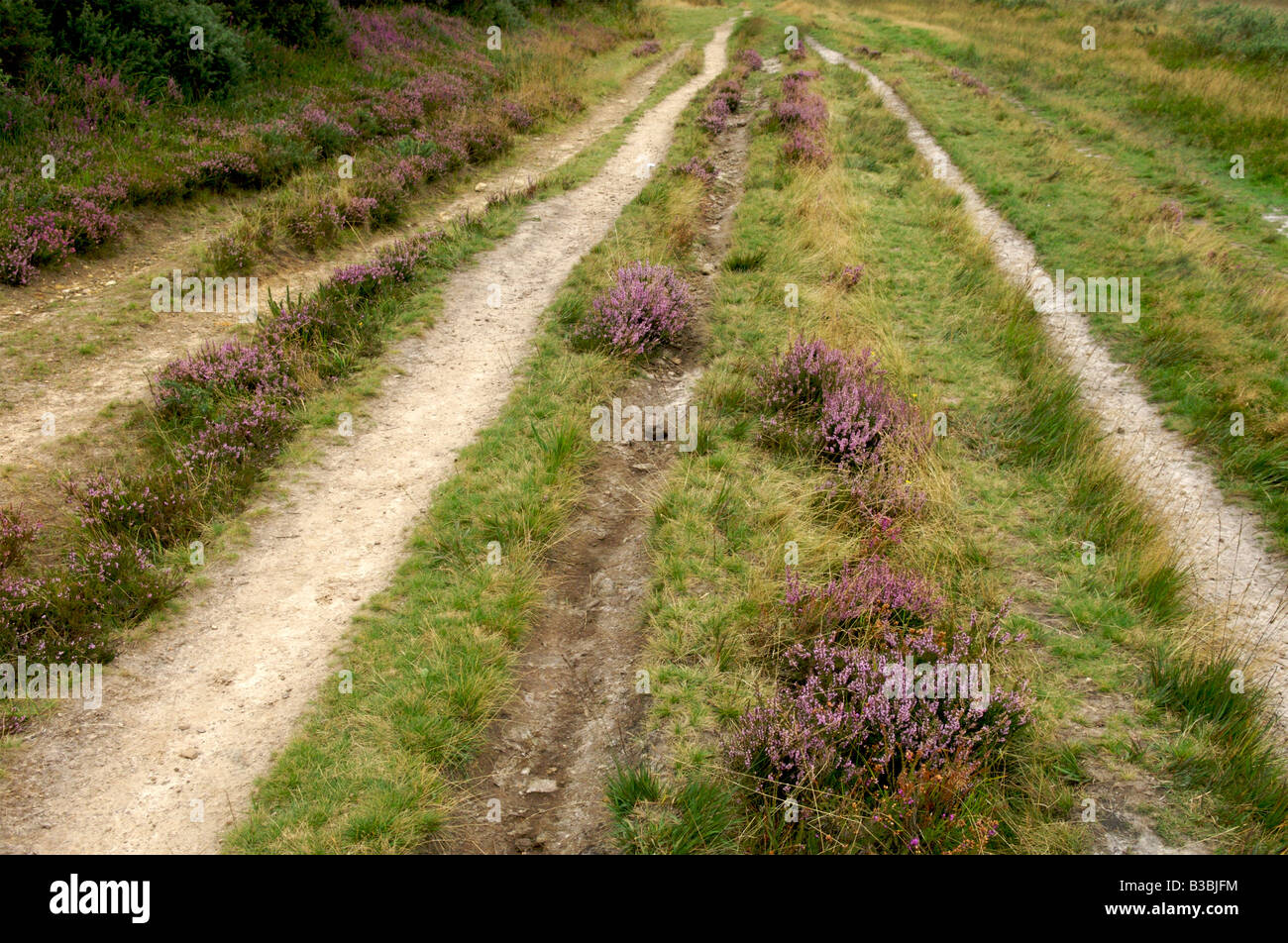 Wealdway hi-res stock photography and images - Alamy