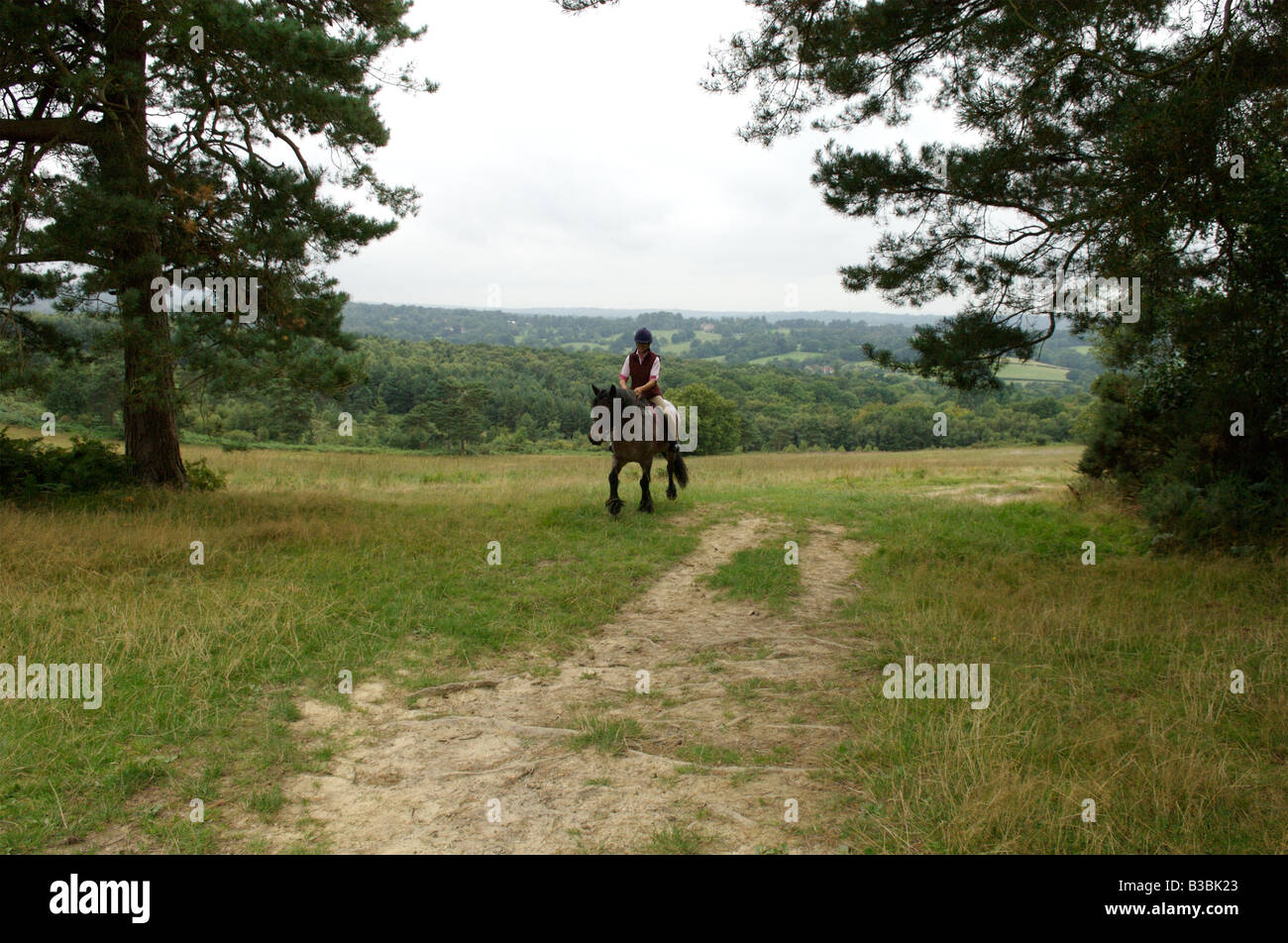 Horse riding trails hi-res stock photography and images - Alamy