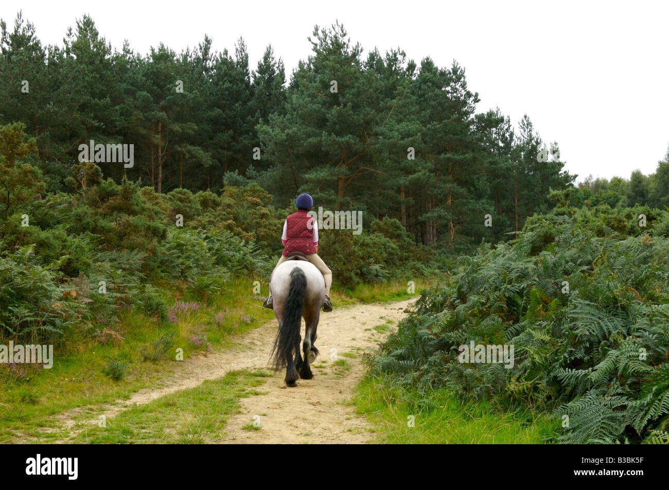 Ashdown hi-res stock photography and images - Alamy