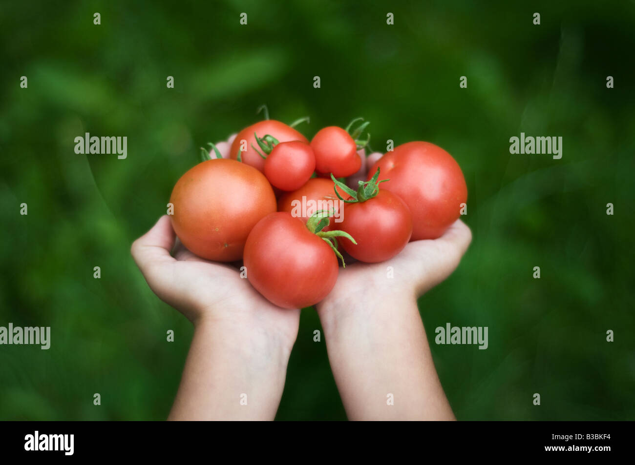 Baby with tomatoes hi-res stock photography and images - Alamy
