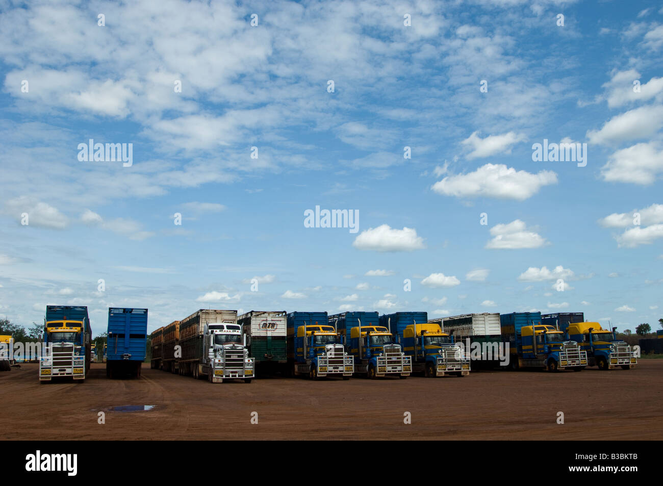 a group of matching road train semi trailer parked together in the ...