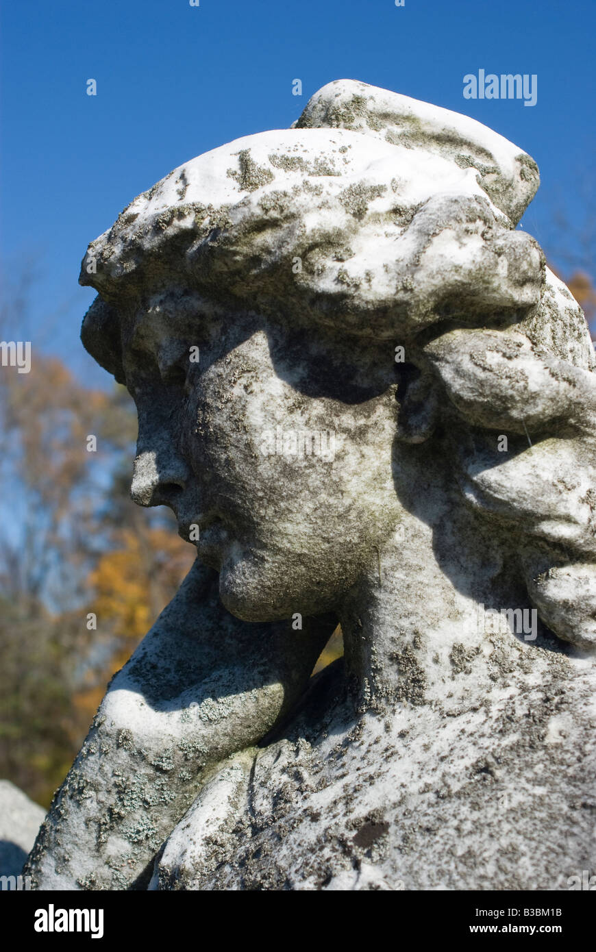 Her chin cupped in hi-res stock photography and images - Alamy