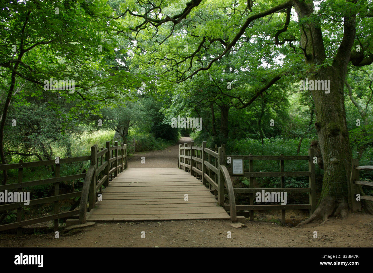 Winnie the Pooh's "Pooh Sticks Bridge Stock Photo - Alamy