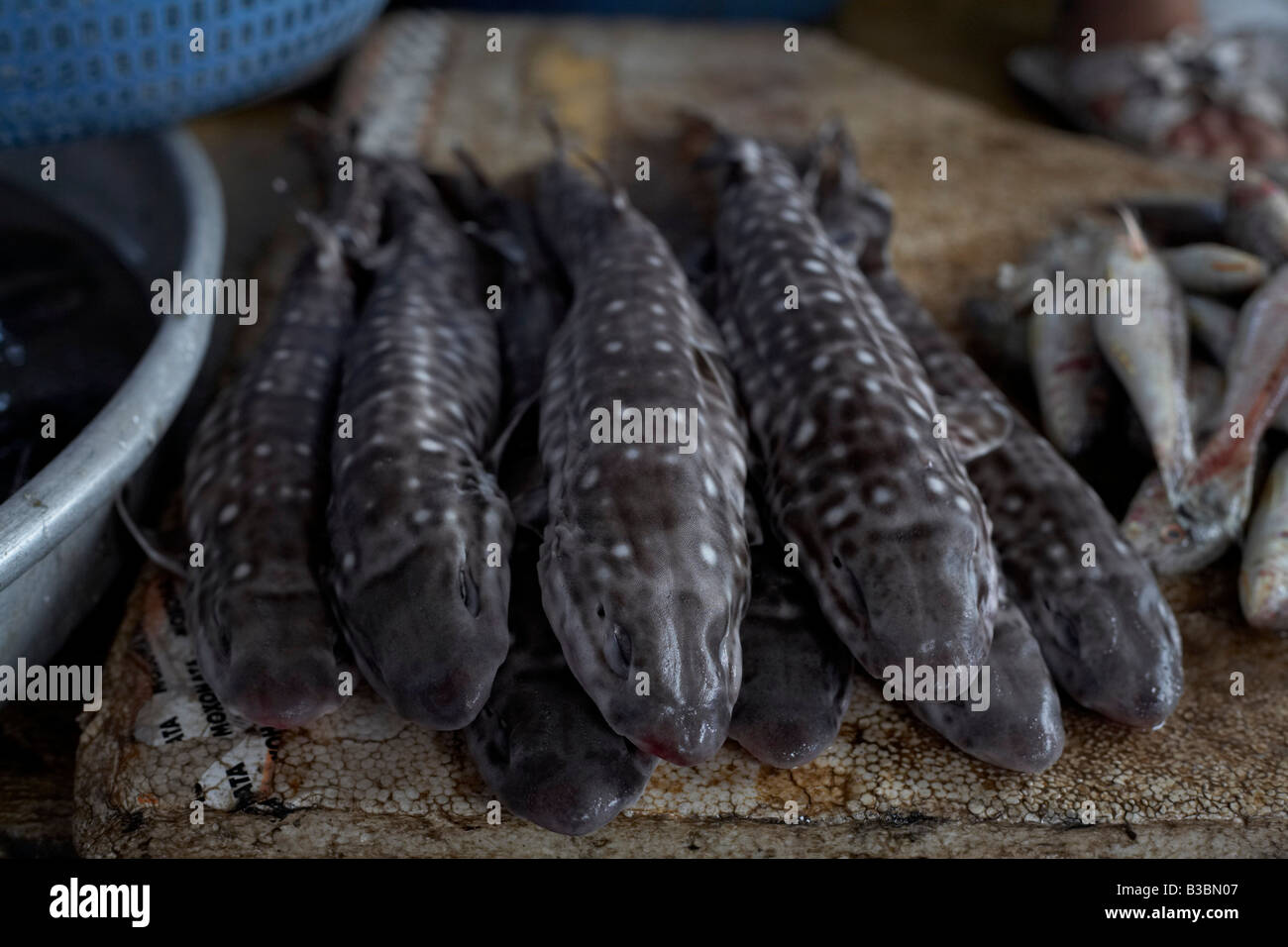Vietnam food market stall fish seafood hi-res stock photography and ...