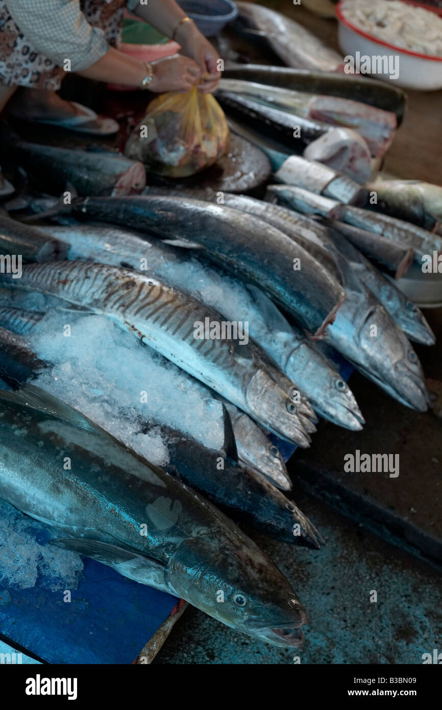 Fish at Market, Duong Dong Market, Vietnam Stock Photo - Alamy