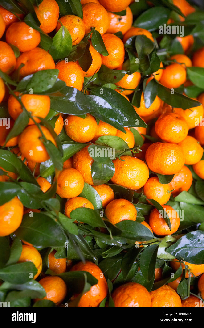 Doc leaf hi-res stock photography and images - Alamy