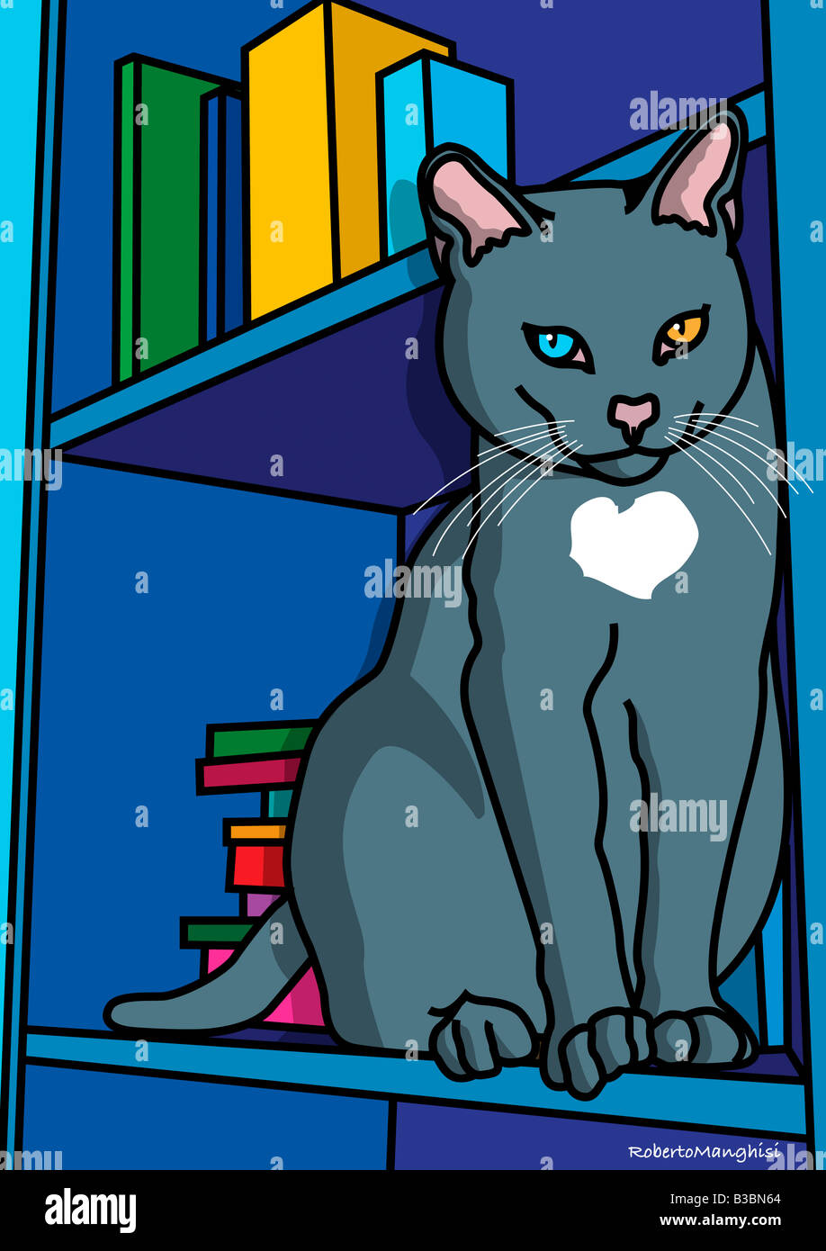 Multi color cat hi-res stock photography and images - Alamy