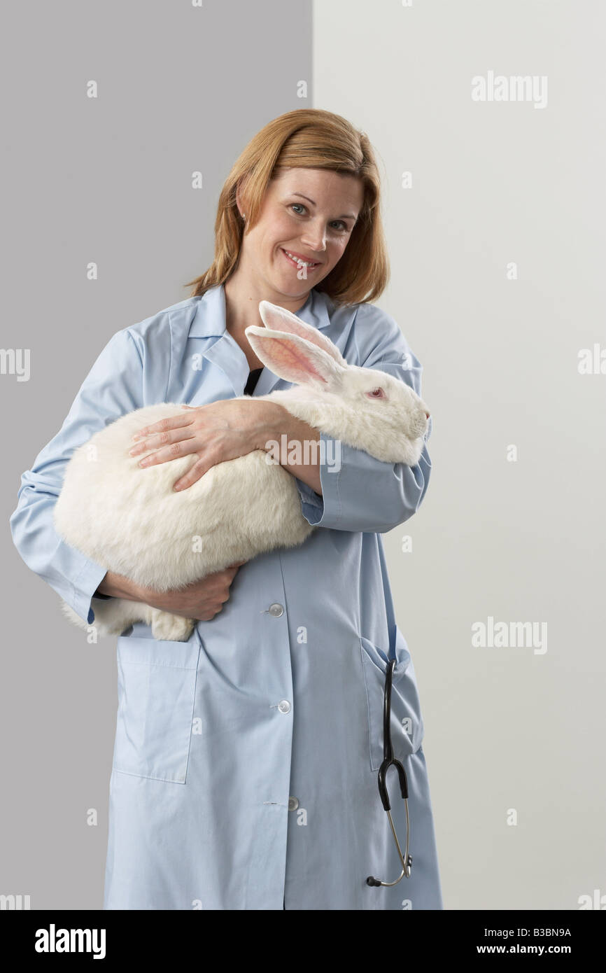 Veterinarian Holding Giant Rabbit Stock Photo - Alamy