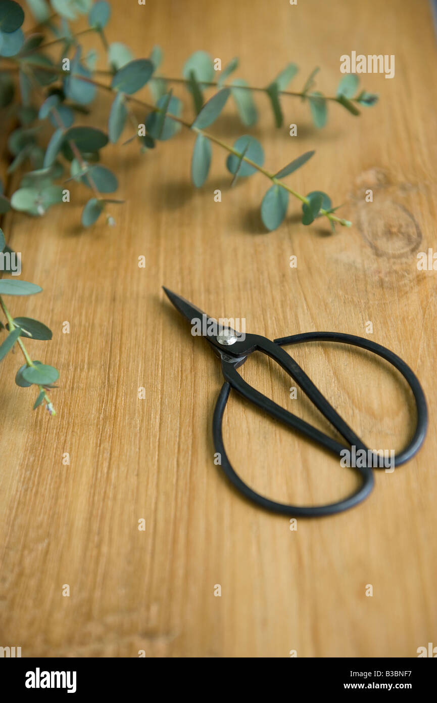 Scissor hi-res stock photography and images - Alamy