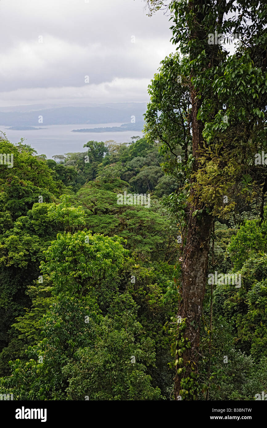 Overview of Arenal Lagoon from Rainforest, Costa Rica Stock Photo - Alamy