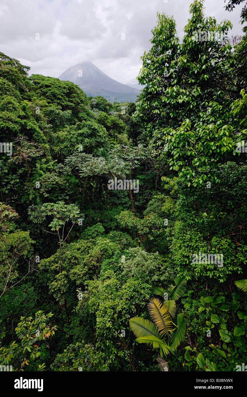 Arenal Volcano and Rainforest, Costa Rica Stock Photo - Alamy