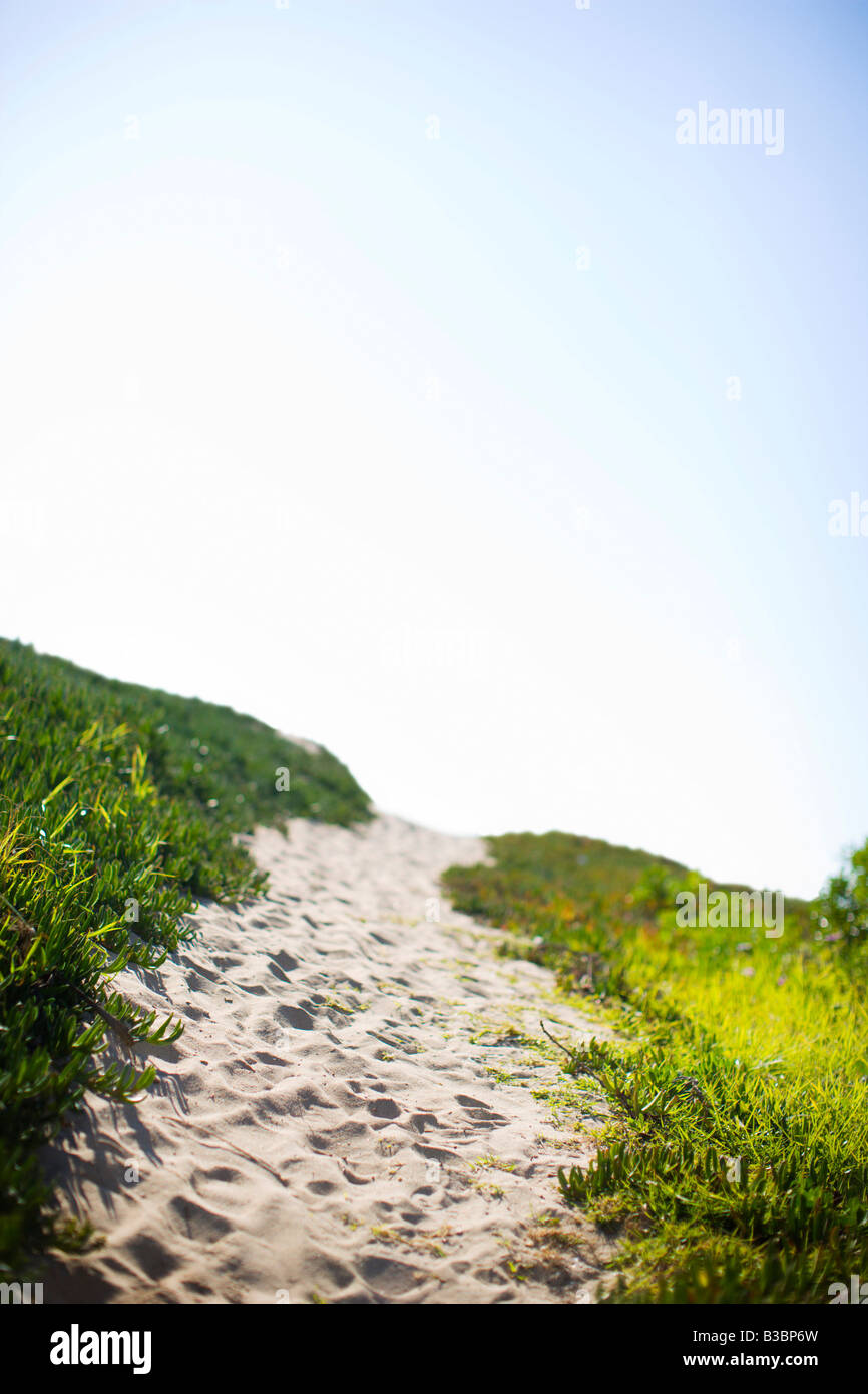 Steps Rising Pathway High Resolution Stock Photography and Images - Alamy