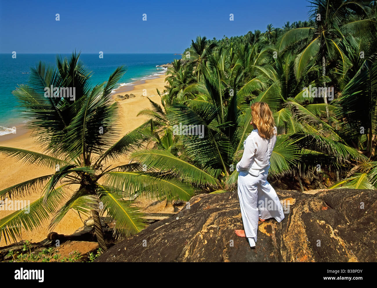 Coconut palms and beach, Kovalam, Kerala state, India, Asia Stock Photo ...