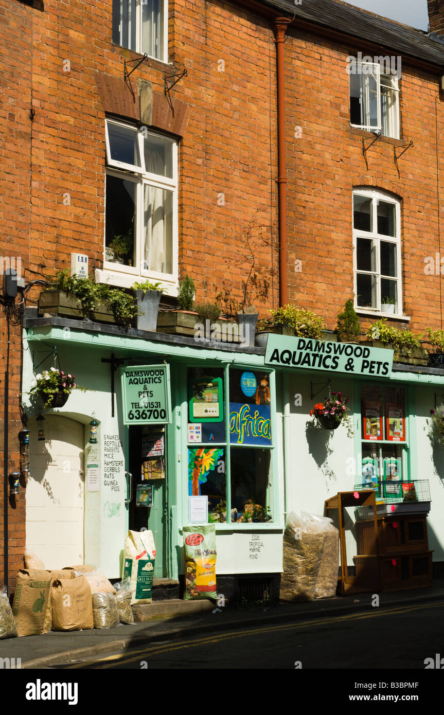 Historic pet shop hi-res stock photography and images - Alamy