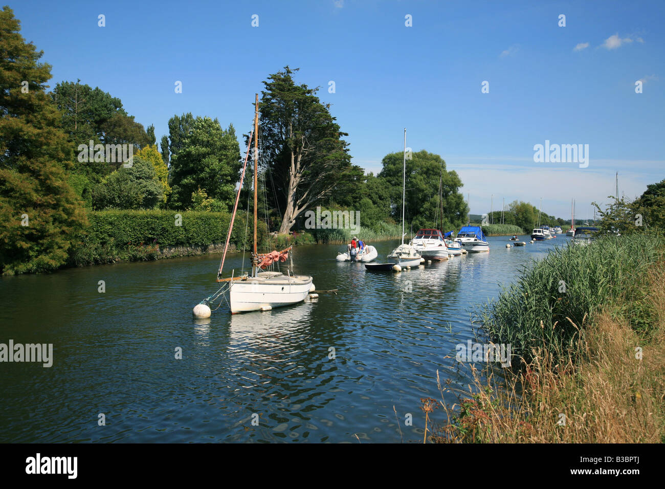 Dorset Boating on River Frome at Wareham Stock Photo - Alamy