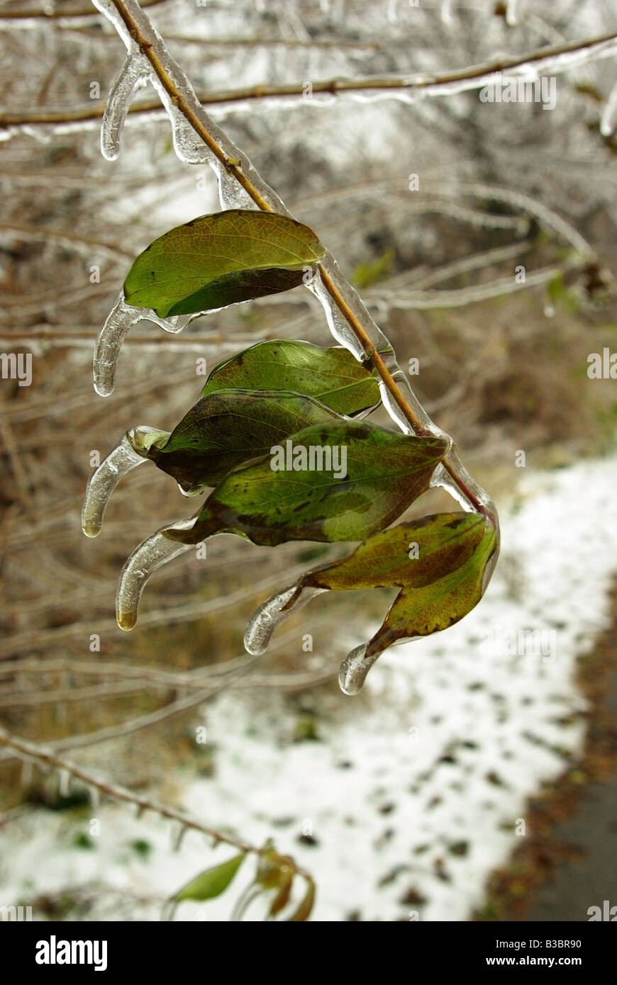 Strange shapes hi-res stock photography and images - Alamy