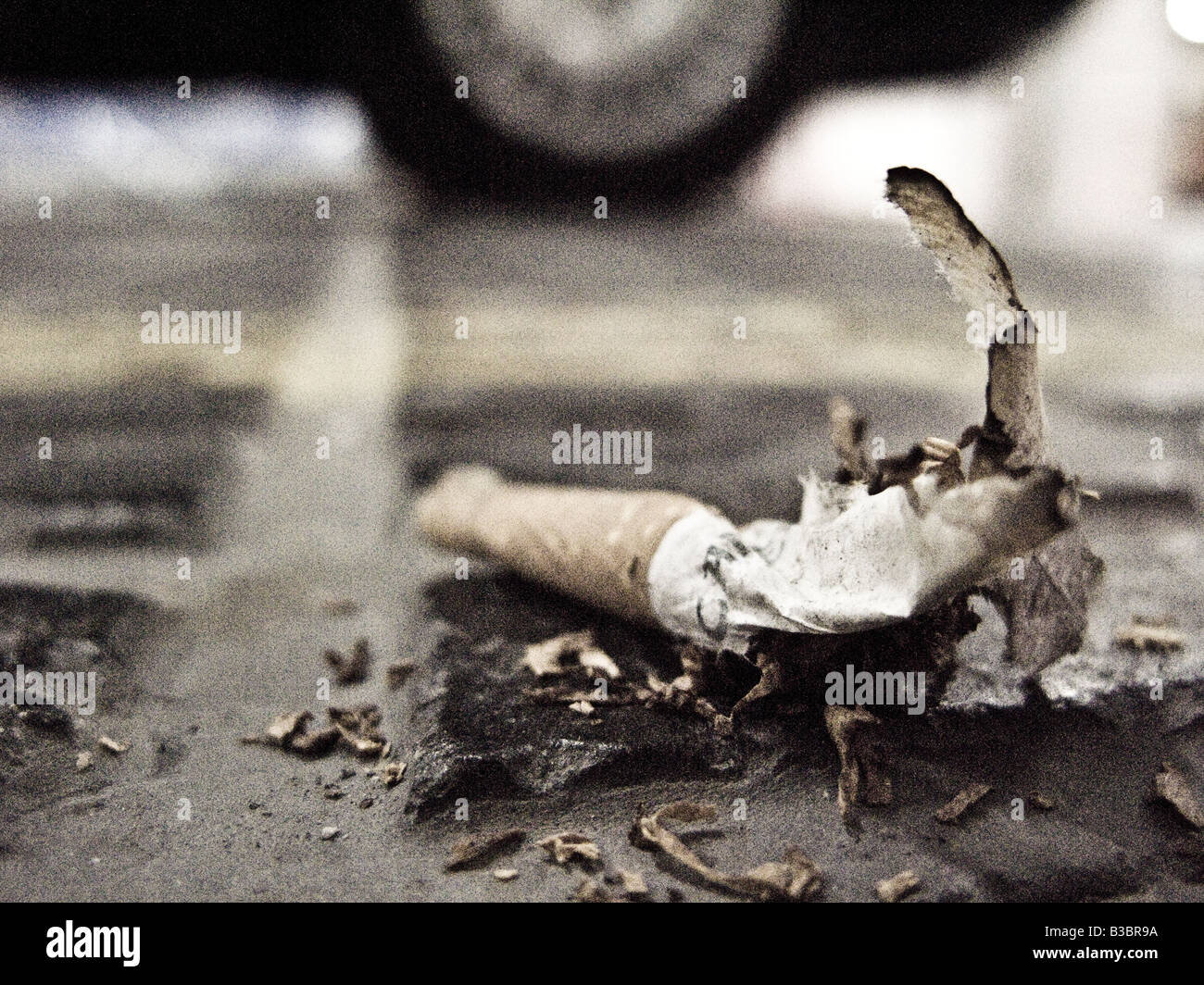 cigarette stub in the floor Stock Photo - Alamy