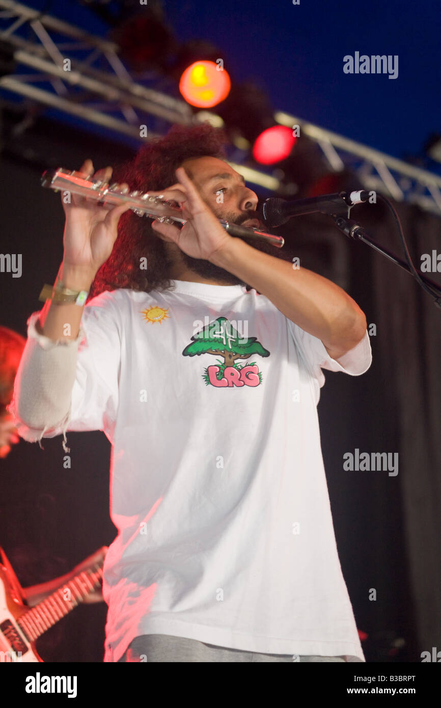 Playing wolf hi-res stock photography and images - Alamy