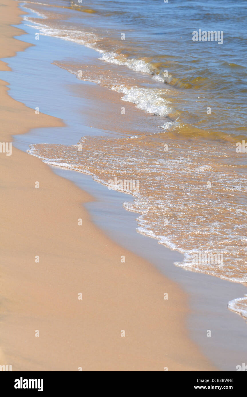 The sandy shore of Lake Michigan Stock Photo - Alamy