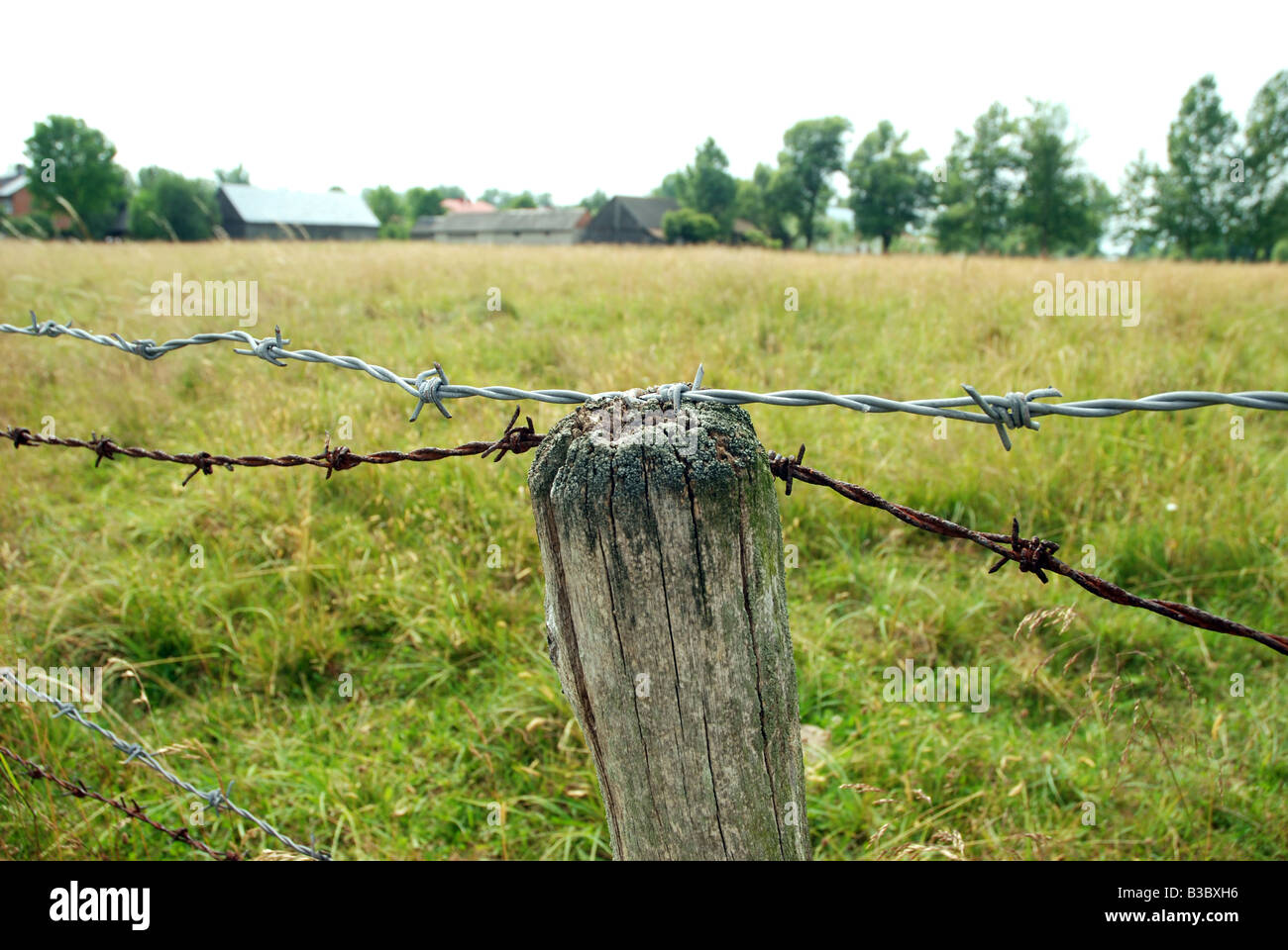 Barbed wire fence on polish countryside Stock Photo - Alamy
