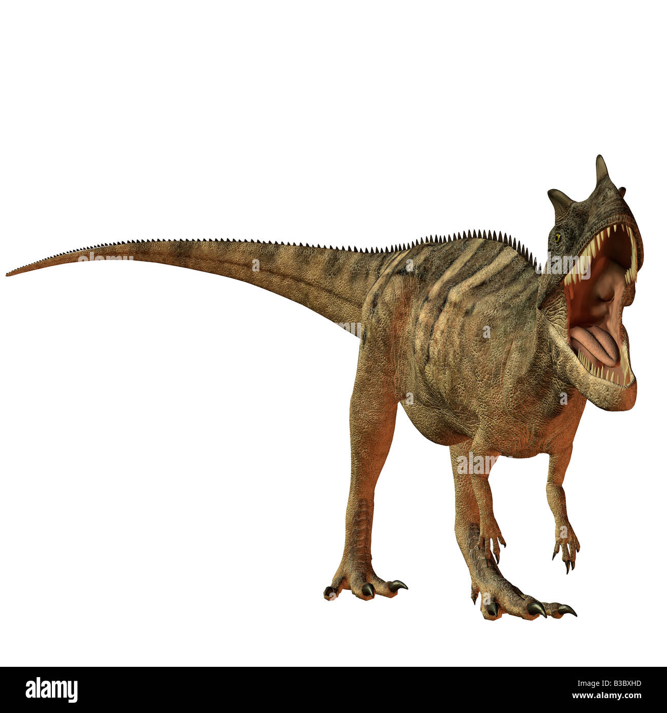 Ceratosaurus hi-res stock photography and images - Alamy