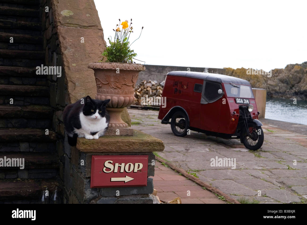 Cat, shop sign and old Reliant tricycle van near Portpatrick Harbour ...
