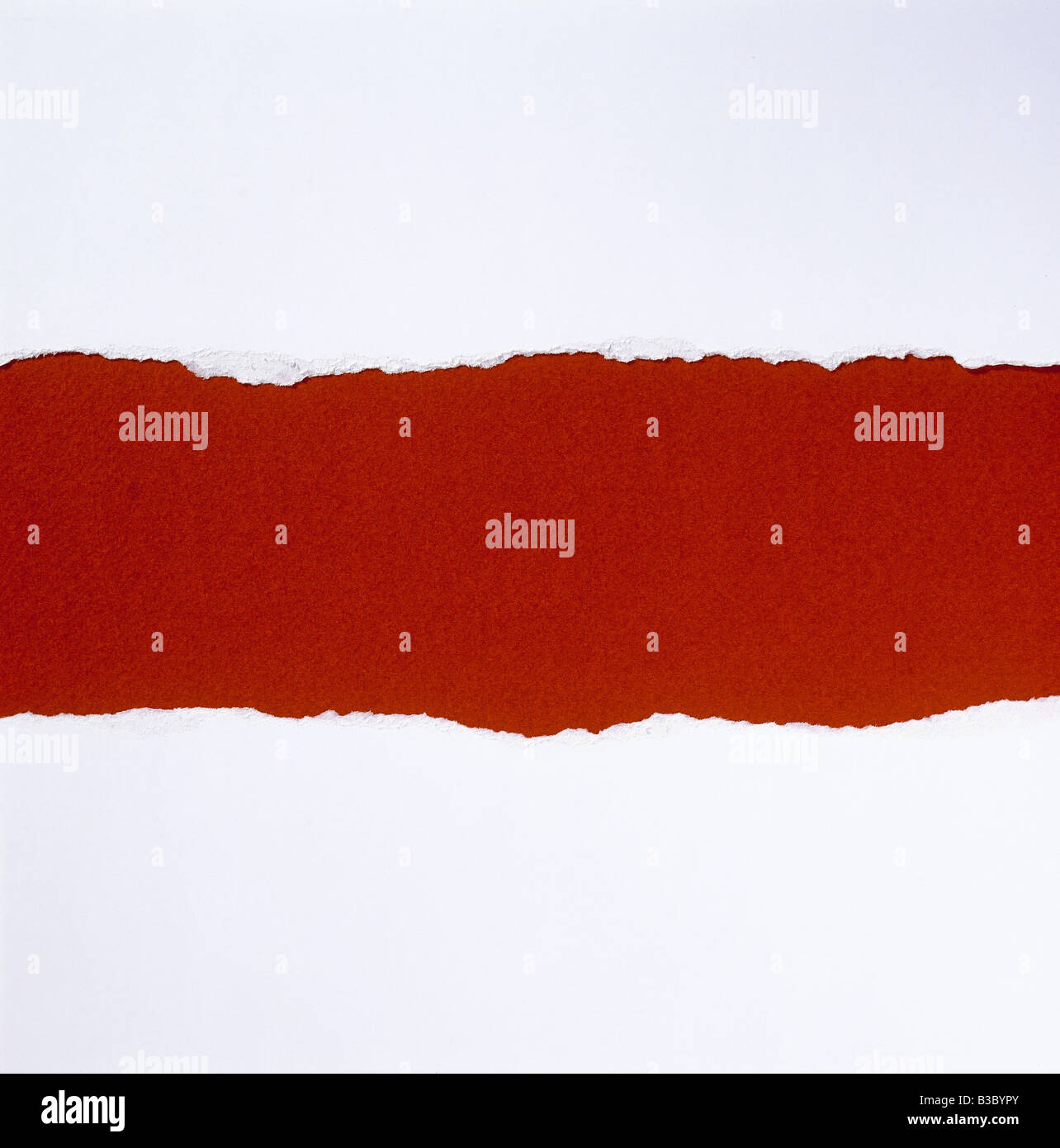 White torn paper revealing red hi-res stock photography and images - Alamy