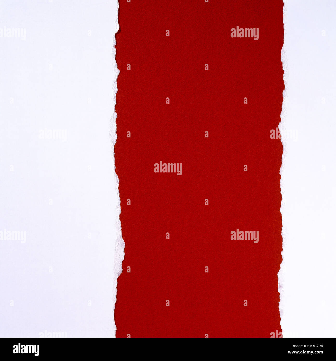 Revealing colour hi-res stock photography and images - Alamy