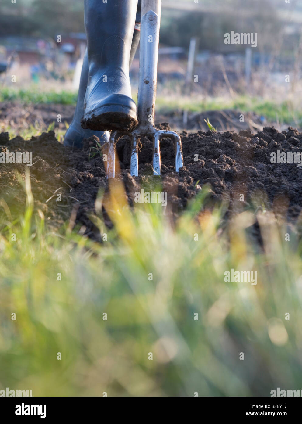 A person gardening, digging earth with a fork Stock Photo - Alamy
