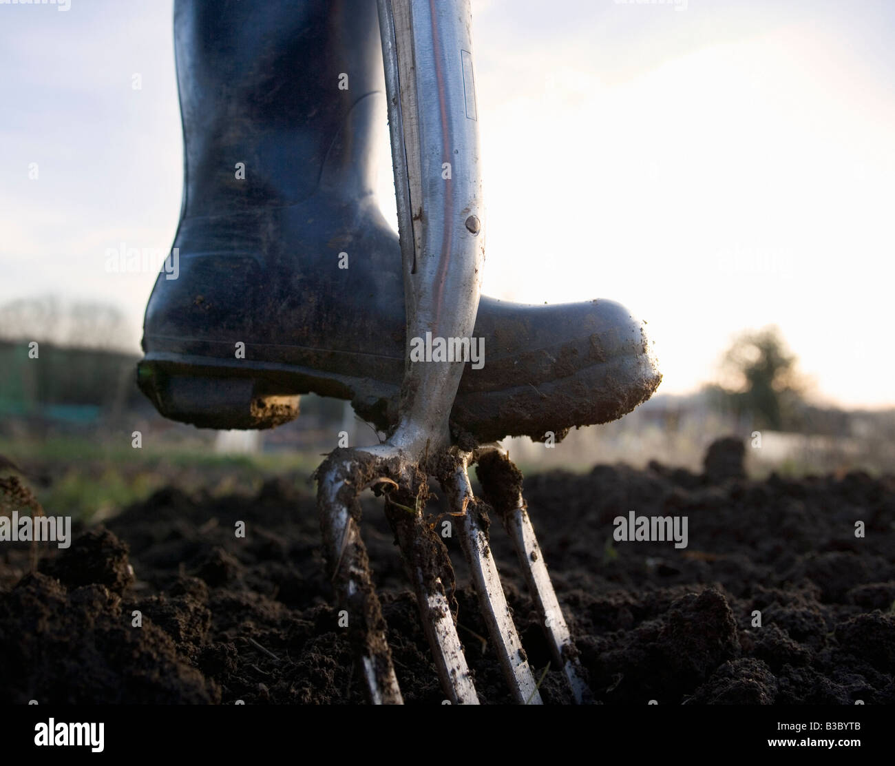 A person gardening, digging earth with a fork Stock Photo - Alamy