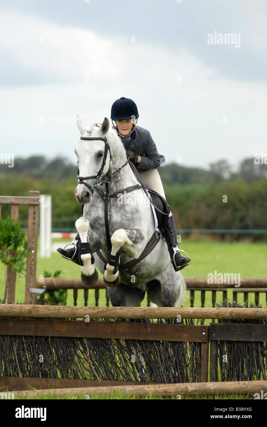 Hunter pony jumping a fence Stock Photo - Alamy