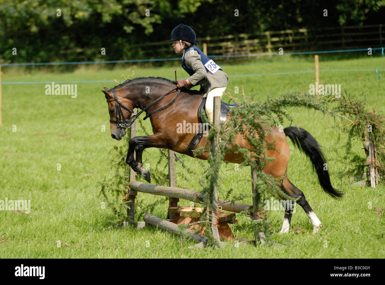 Hunter pony jumping a fence Stock Photo - Alamy