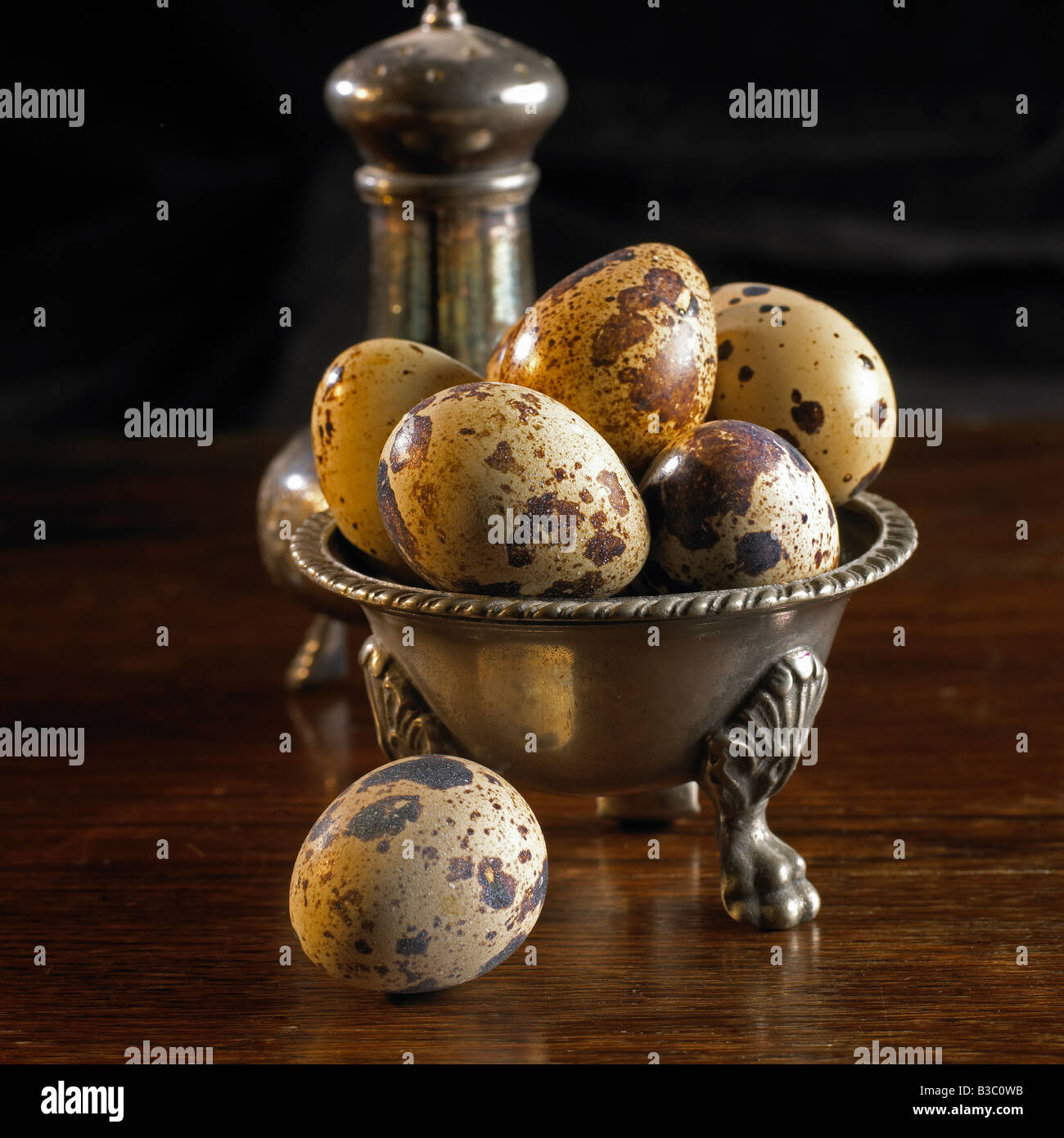 Silver quails hi-res stock photography and images - Alamy