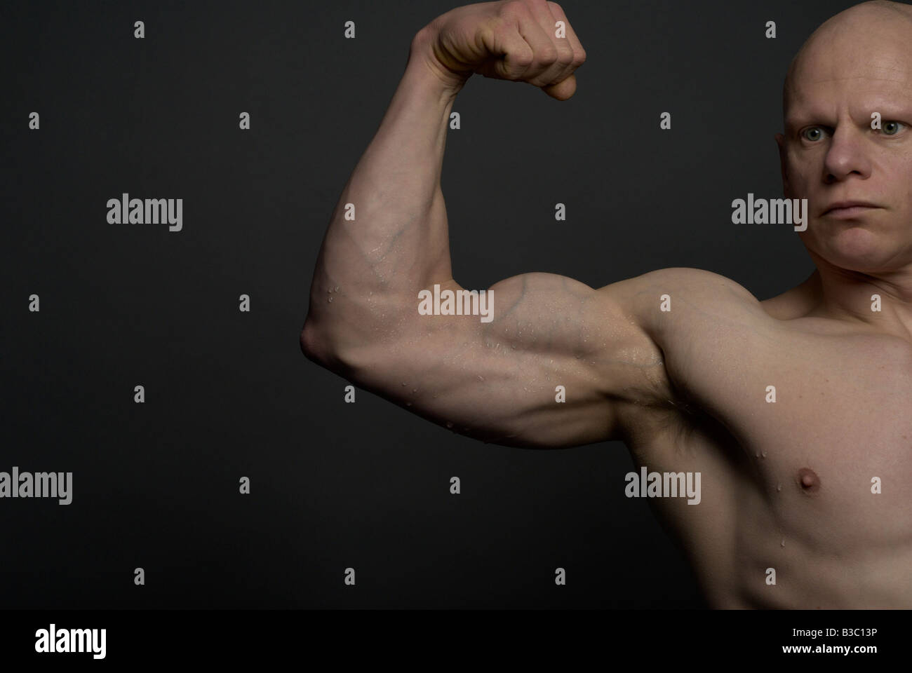 Body builder bodybuilder muscle man hi-res stock photography and images ...