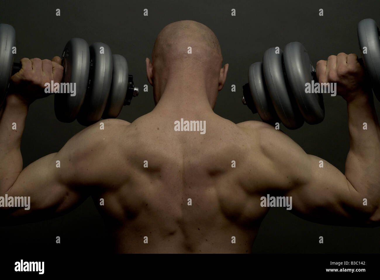 The back of man pushing weights Stock Photo - Alamy