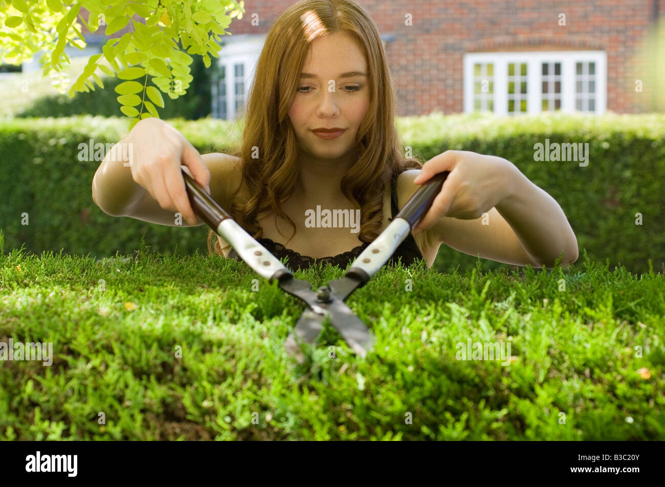 Hedge trimming road hi-res stock photography and images - Alamy