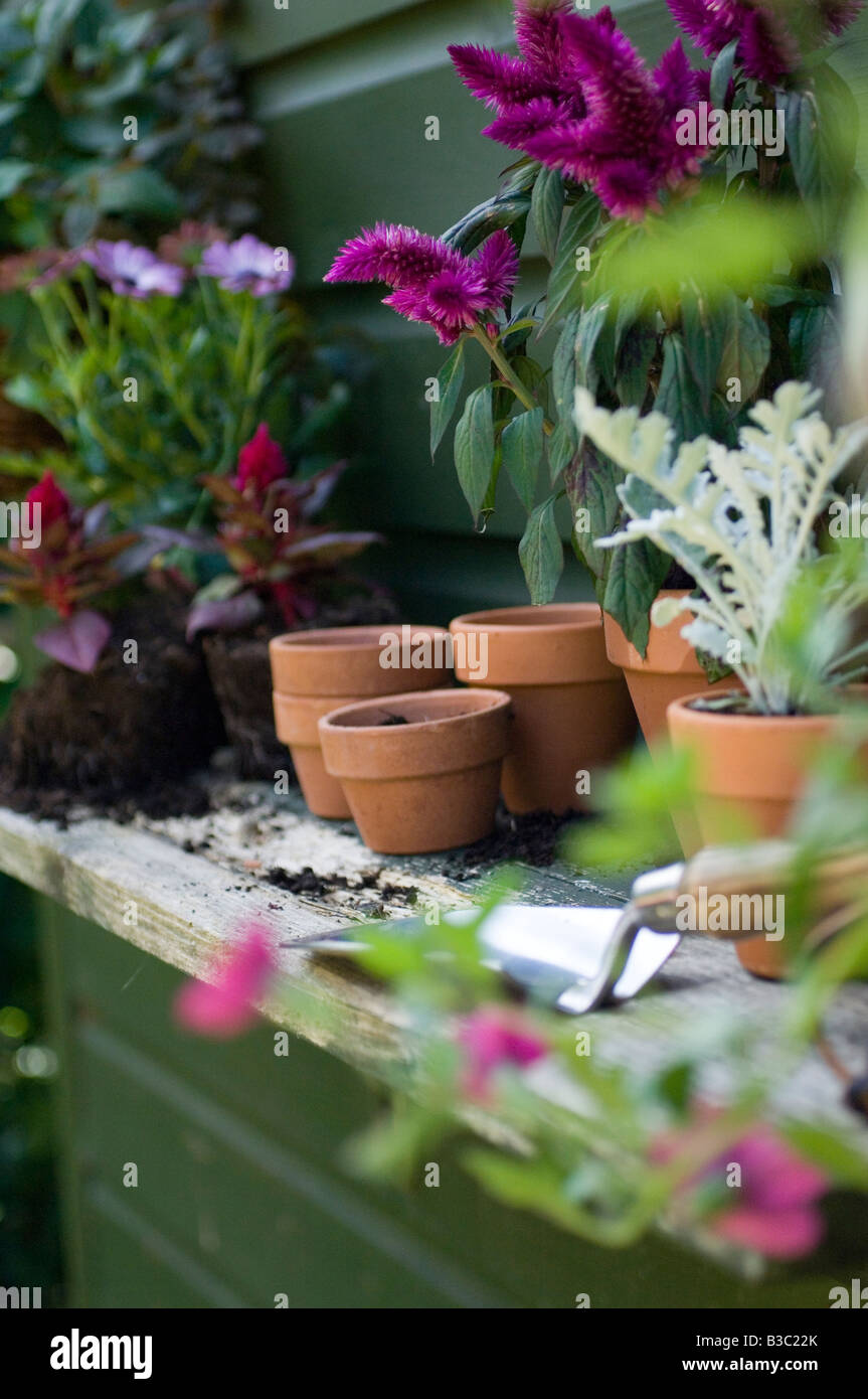 Pots outside a shed hi-res stock photography and images - Alamy