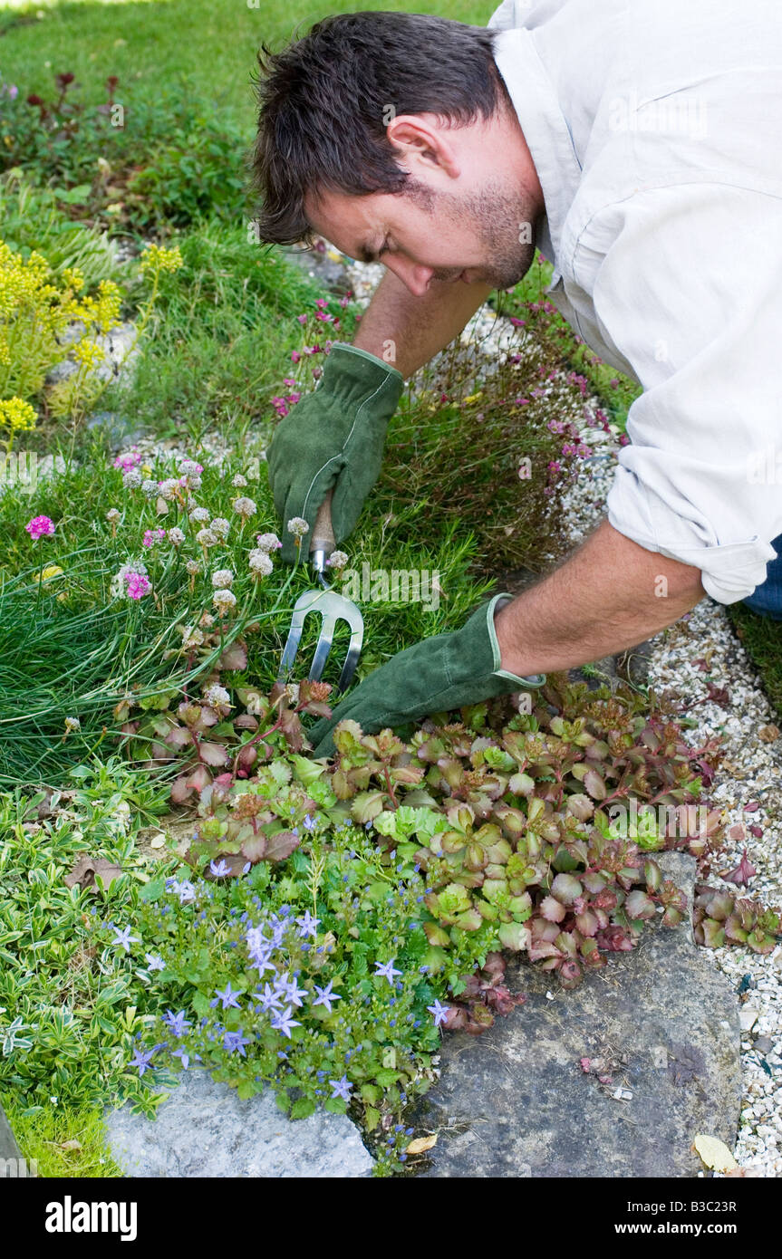 A man planting flowers in a garden Stock Photo - Alamy