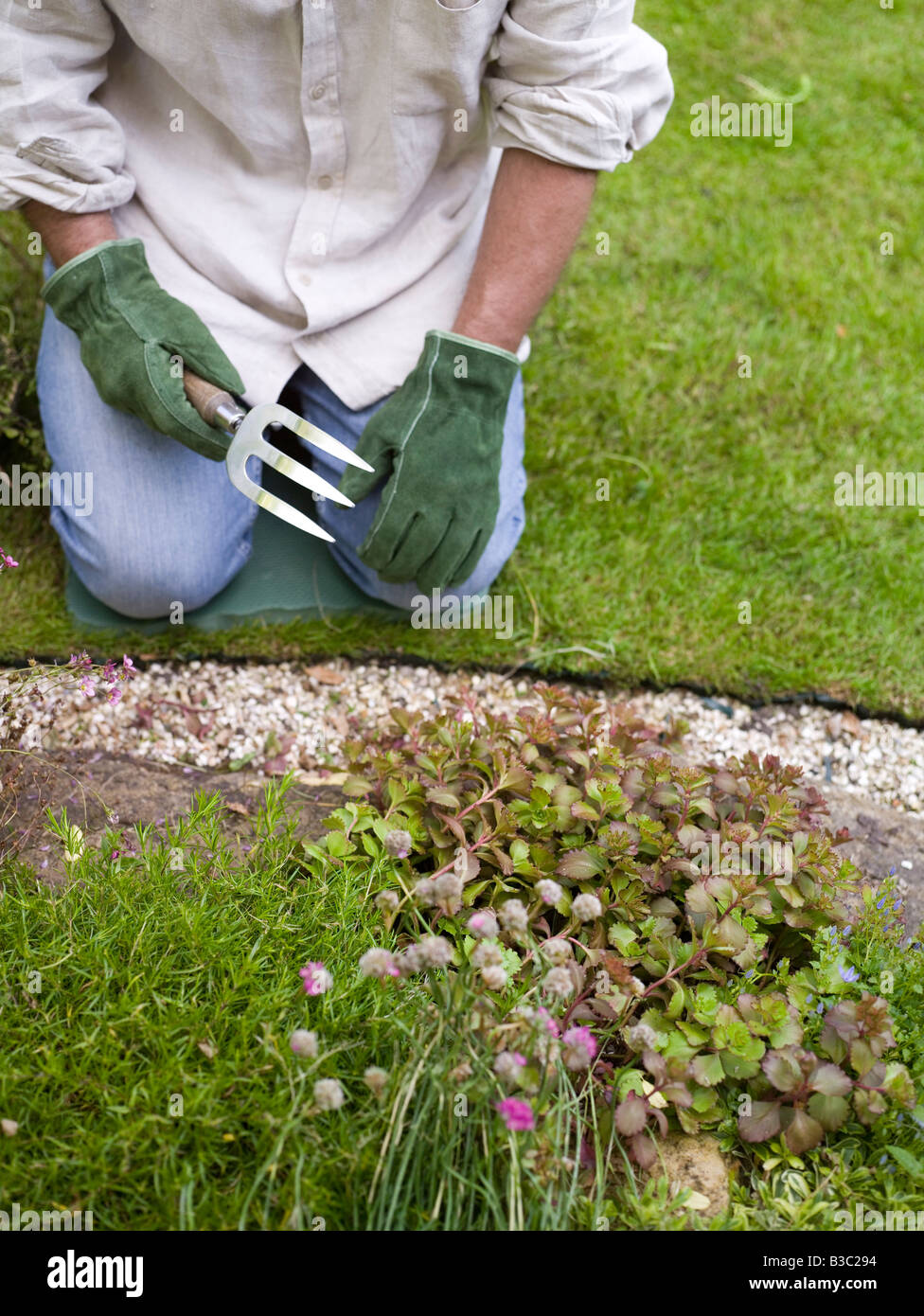 A man planting flowers in a garden Stock Photo - Alamy